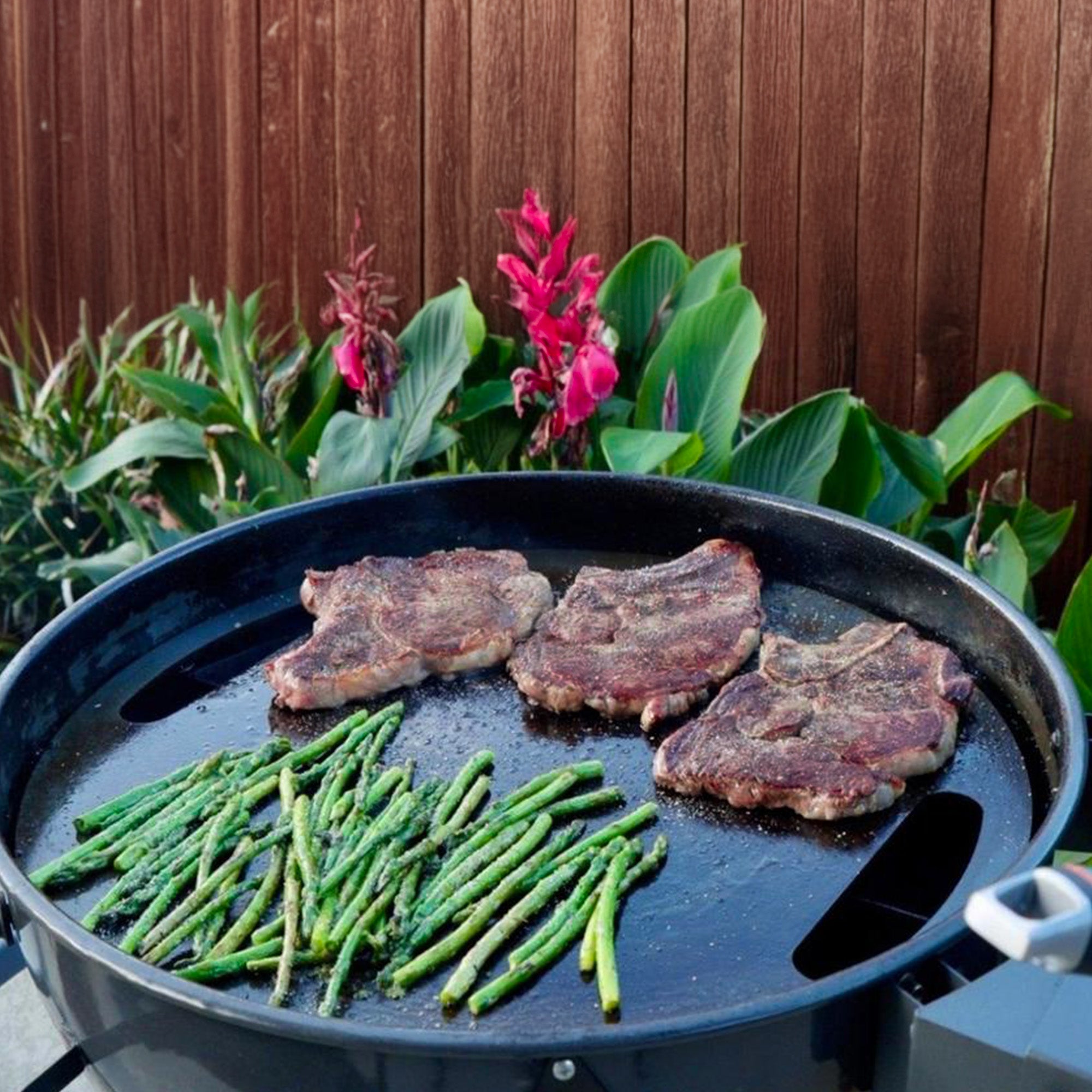 Best Plancha Grill | Carbon Steel Flat Top Plancha For Sale | SnS Grills